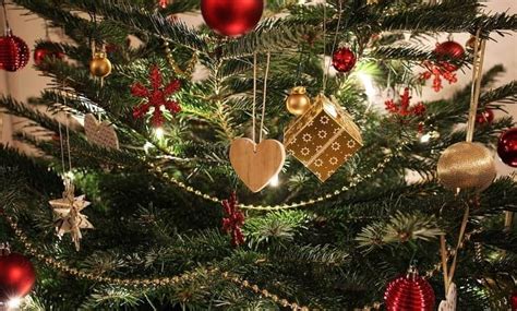 Котешка стъпка Clinopodium Vulgare Ползи и приложение в билколечението