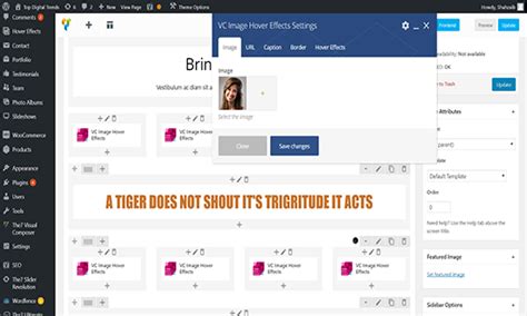 image hover effects for visual composer wordpress plugin