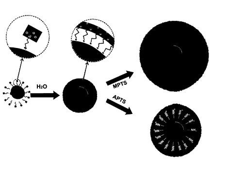 In Situ Formed Copper Nano Cluster Of Double Layer Shell Structure And Preparation Method And