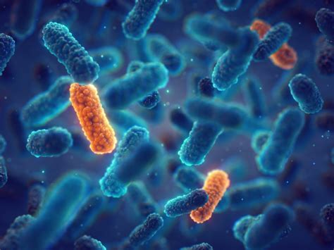 Expert Answers To Faqs Improving Time To Early Effective Therapy For