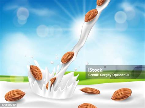 아몬드 우유 또는 요구르트 스플래쉬와 씨앗 흘러 내리고 현실적인 우유 드롭 맑은 푸른 하늘 배경에 고립 벡터 일러스트 레이 션 아몬드우유에 대한 스톡 벡터 아트 및 기타