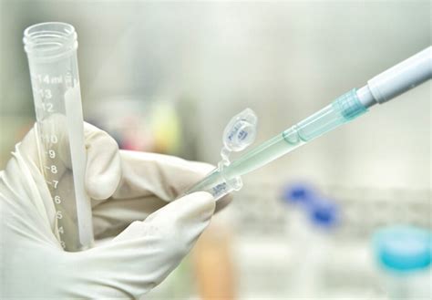 Biologics Development Five Steps To A Robust Cell Line Development