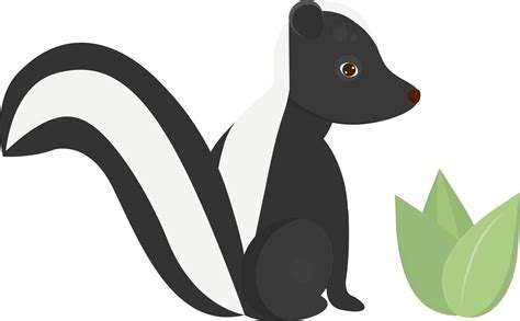 Skunk Cub Vector Illustration 12060548 Vector Art At Vecteezy
