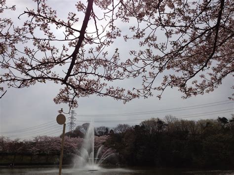 1202 Kenichi Hirota Flickr