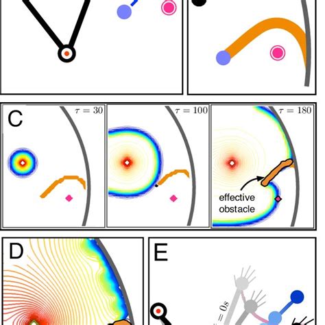 Generalized Cognitive Map Representing And Driving A Manipulator In A Download Scientific