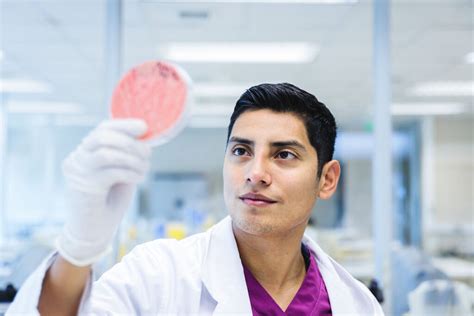 How To Become A Biomedical Engineer