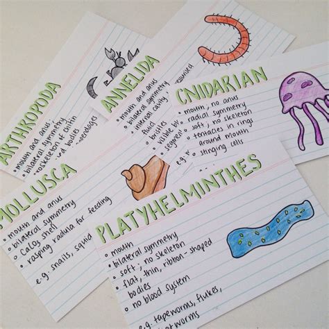 Biology Flashcards Gre Quizlet Math Kleos Canariasgestalt