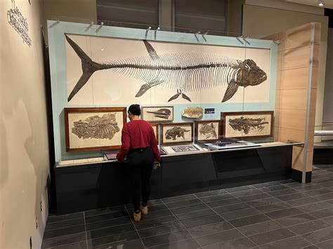 This Xiphactinus A Giant Extinct Fish Girlfriend For Scale R