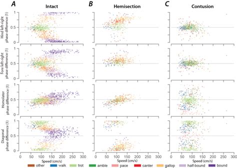 Speed Dependent Distribution Of Normalized Phase Differences Of Intact