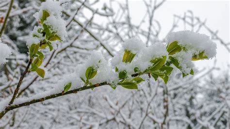 Primeira Onda De Frio No Brasil Se Aproxima Com Possibilidade De Neve