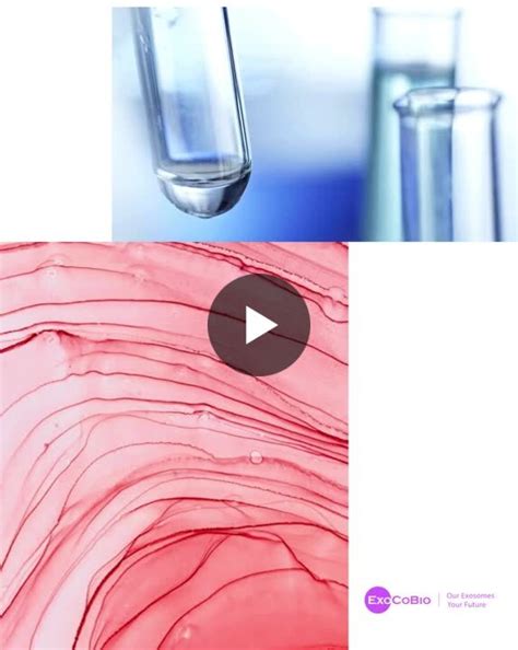 Exosomes Exocobio Europe Exosomestherapy Aesthetics Skin Hair