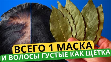 Супер-рецепт для ВОЛОС, Начинают РАСТИ Даже на Лысинах! - YouTube