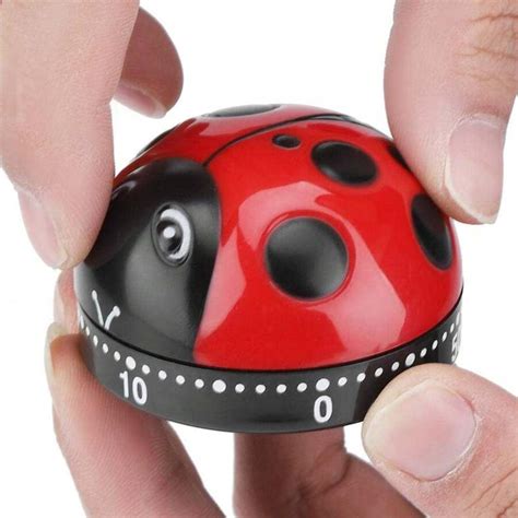 Cute Ladybug Shape Kitchen Timer 60 Minutes Timer With Loud Ring