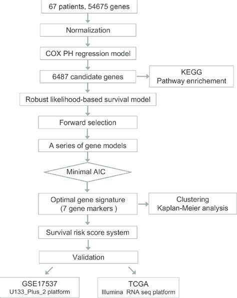 Flow Chart Of Methods For Building The Seven Gene Signature Based On 64 Download Scientific