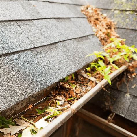 How To Prevent Clogged Gutters Restoration Roofing