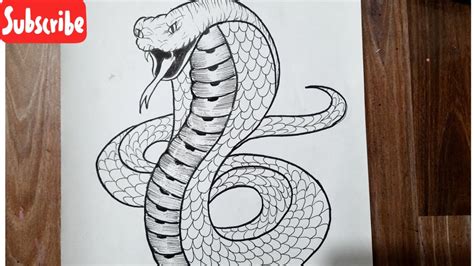 Cobra Pencil Drawing