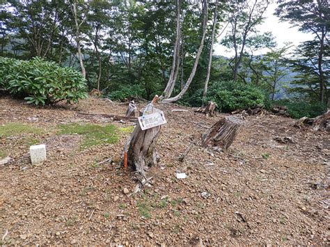 ケガ人に優しい山 その6小津権現山揖斐川町 山はぴ