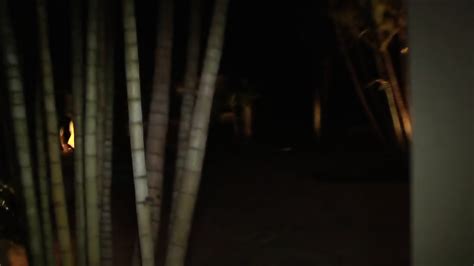 Vanessa Cage Pool Party Eporner