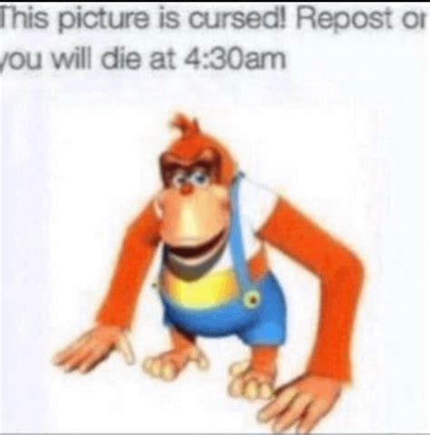 Dd R Unusualmemes