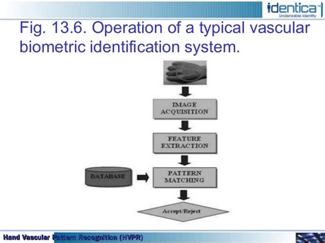 Pattern Recognition Hand Vascular Pattern Recognition