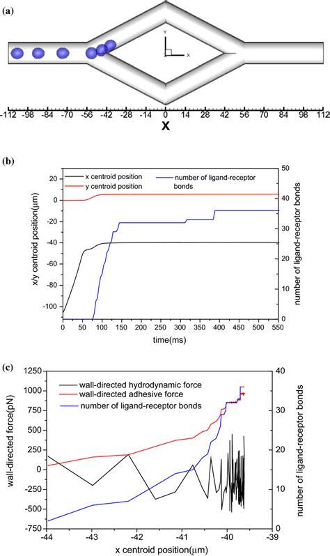 Trajectory Of The Tumor Cell Which Is Initially Released At The Tube