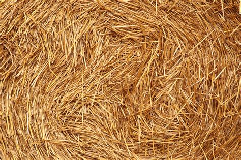 Premium Photo Hay Background Hay Wallpaper Macro Photo Top View