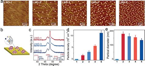 Enhanced Oer Performance And Dynamic Transition Of Surface Reconstruction In Lanio3 Thin Films