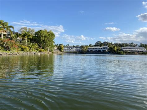 West Lake Robina Bird Spots