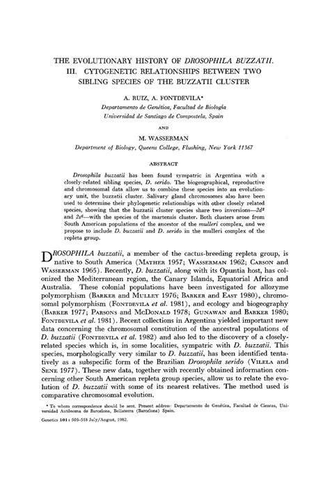 Pdf The Evolutionary History Of Drosophila Buzzatii Iii Cytogenetic