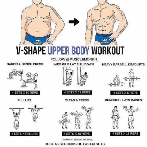 V Shaped Body Man