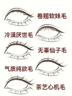 五官教材图片大全 五官教材高清好看的图片 花瓣月光下的胖丁的画板
