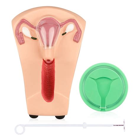 Simcoach Intrauterine Device Training Kit Iud Training Model Female