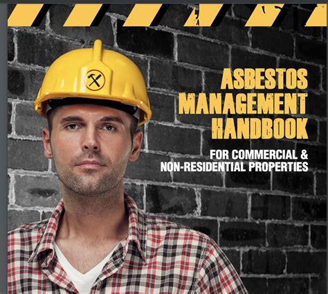 November Is National Asbestos Awareness Month Lupin Systems