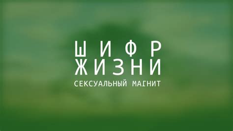 Сексуальный магнит, только для женщин! Программирование во сне ...