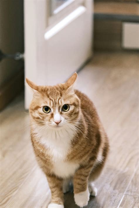 Stackanimation Photos Download The Best Free Stackanimation Stock