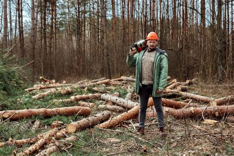 Sustainable Forestry Selective Cutting As A Way To Preserve Forests
