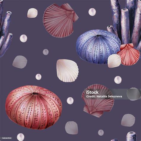 산호 성게 조개와 진주와 수채화 원활한 패턴 손으로 그림을 그리는 클립아트 수중 생물은 흰색의 고립된 배경에 있다 디자이너 장식 엽서 포장지 스크랩북 표지 초대장 웨딩