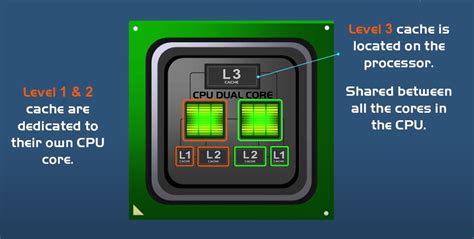 Discover How Does CPU Cache Work 2023 Guide BlackLotusGaming Net