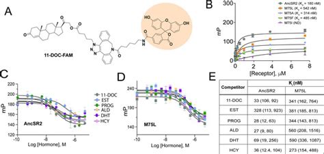 Ligand Induced Shifts In Conformational Ensembles That Describe Transcriptional Activation ELife