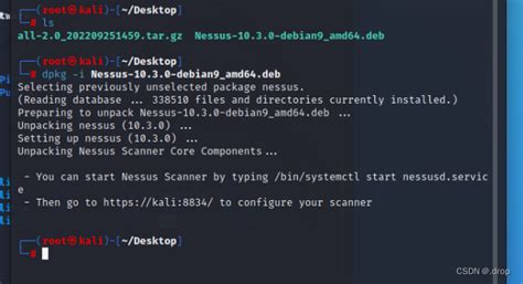 Nessus漏洞扫描工具的安装 nessus端口 CSDN博客