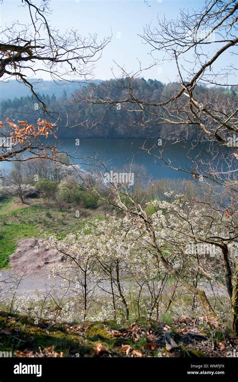 Obersee Eifel Banque De Photographies Et Dimages à Haute Résolution Alamy