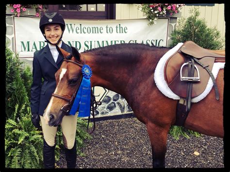Benlea Fancy Lass Welsh Pony Hunter