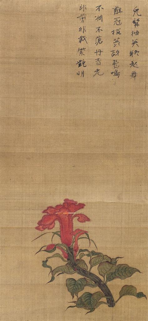 Unknown Cockscomb Mutualart