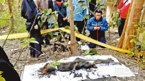 台男子杀害女大学生 法院因过程不够凶残判免死杀害女大学生免死新浪新闻