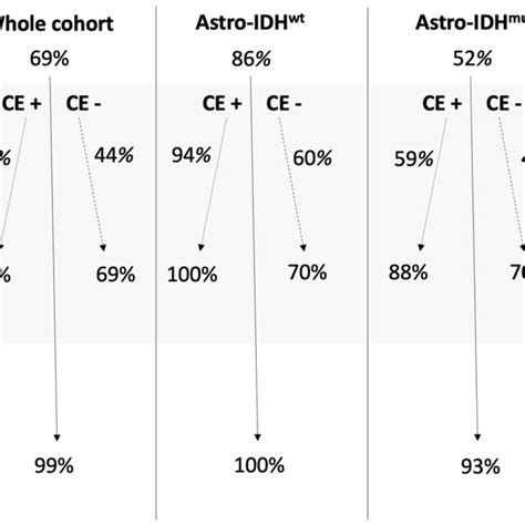 Multilevel Classification For The Differentiation Of Progressive