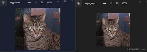 深度学习：图像变换transformstransformstopilimage Csdn博客