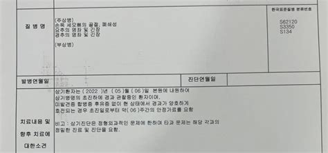 운전자보험 자동차사고부상등급 문의드려요 지식in