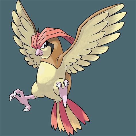 Pidgeotto Wallpaper