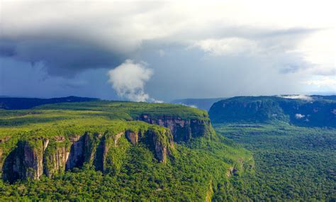 Protecting Biodiversity In Colombias Largest National Park