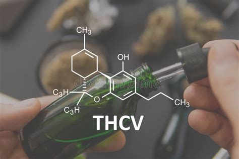 Cannabis With The Thcv Chemical Formula Tetrahydrocannabinol Molecule
